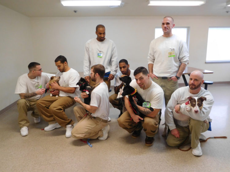 Rehabilitating offenders and canines at Larch Corrections Center ...