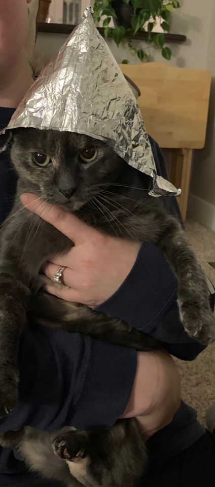 Annual humane society fundraiser goes virtual - Camas-Washougal Post-Record