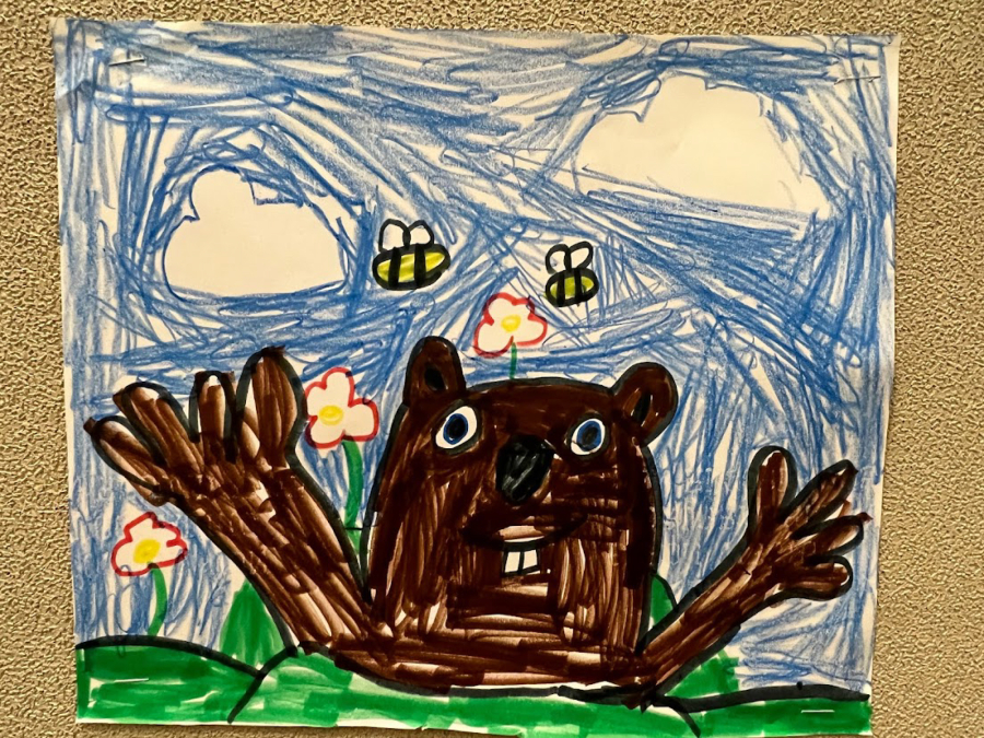 ‘Groundhog ambassador’ brings East Coast tradition to Camas - Camas ...