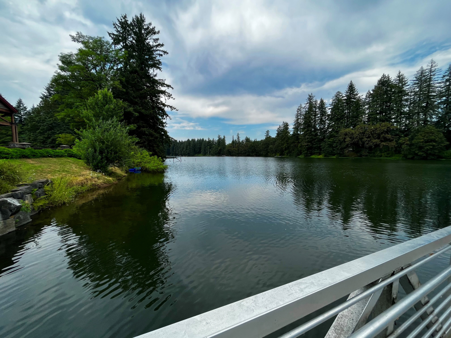 Toxic algae warnings posted at Lacamas and Round lakes - Camas ...