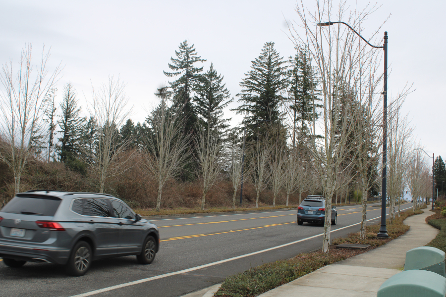 Camas rules environmental impacts of proposed road realignment near ...